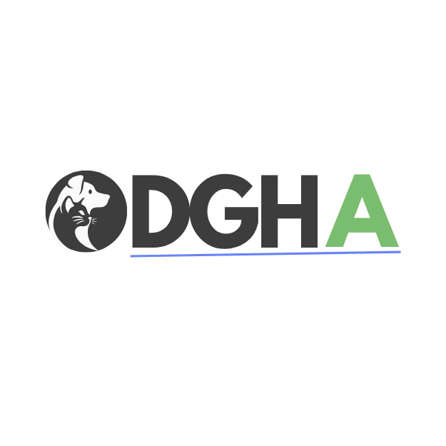 DGH A - Innovative, Unique, Ultra-Portable A-Scan